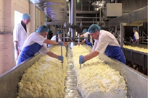 Udyami's Online Learning Platform | Best Industrial Courses with ...